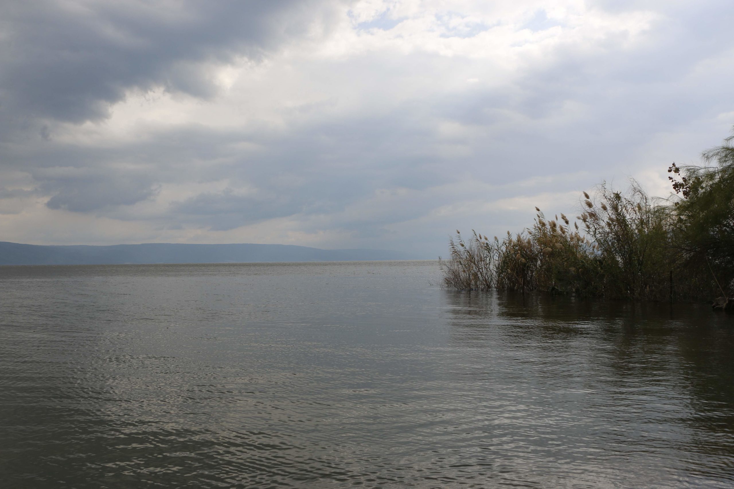 Saxum – The Saxum Visitor Center helps pilgrims to deepen their ...